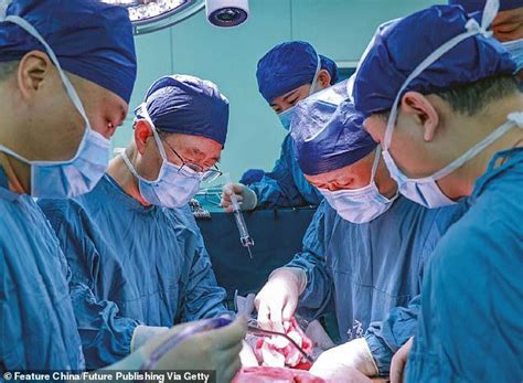 World's first pig to human liver transplant has been carried out