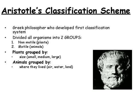 Aristotle System Of Classification At Victoria Thomason Blog