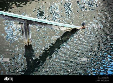 Simple ice guard hi-res stock photography and images - Alamy