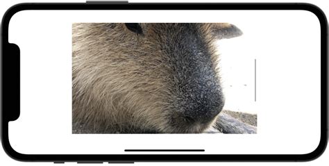 【swiftui】scrollviewの使い方 カピ通信