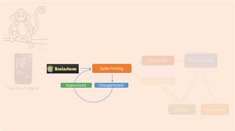 E Physspikesorting Brainstorm
