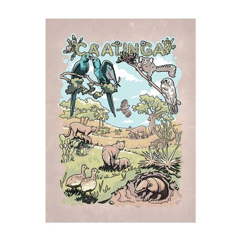 Pôster Cenário Caatinga