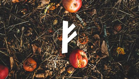 The 5rs Of Zero Waste No 5 To Rot The Ethical Butcher