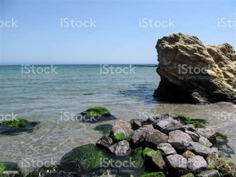 전경과 오른쪽에 하나의 바위에 많은 녹색 돌은 맑고 푸른 하늘에 대 한 청록색 바다 물에 0명에 대한 스톡 사진 및 기타 이미지 0명 검은색 경관 Istock