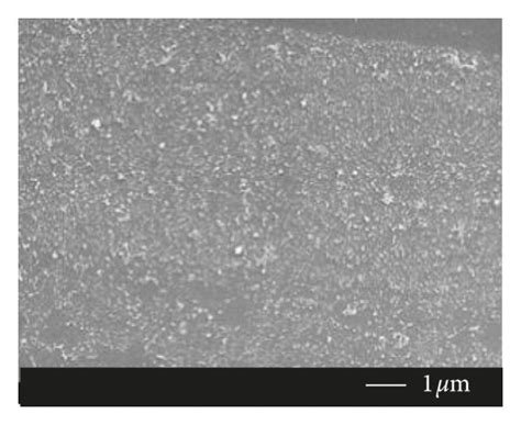 Sem Micrographs Of The Printed Films With A 1 Layer 10 000x B 2 Download Scientific