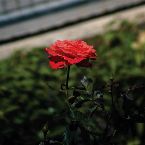 Stuck On The Third A Guide To Fourth Wave Feminism Fw