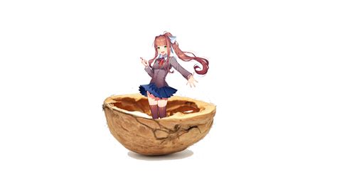 Monika In A Nutshell R Ddlc