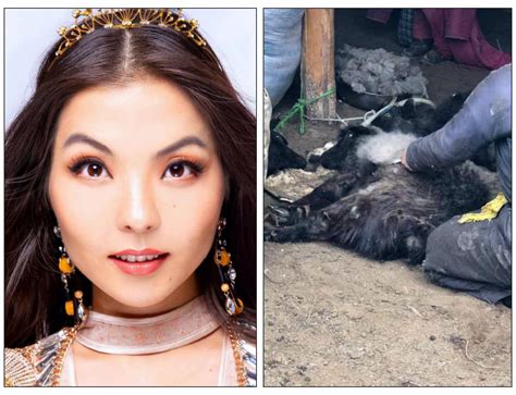 Ямаа самнах гэдэг чинь бараг массаж юм шүү дээ Номинжин минь · Dorgio Mn