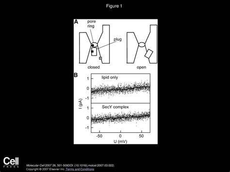 Volume 26 Issue 4 Pages May 2007 Ppt Download