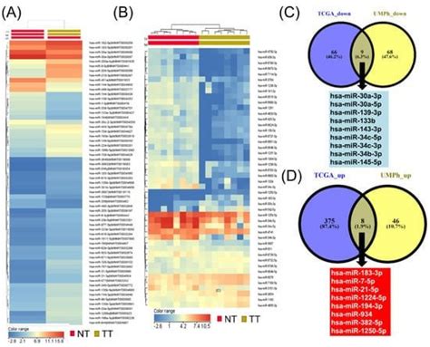 Identification Of Potential Microrna Panels For Male Non Small Cell Lung Cancer Identification