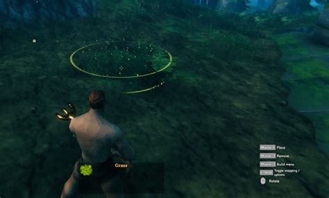 How To Plantgrow Grass In Valheim — Set Ready Game