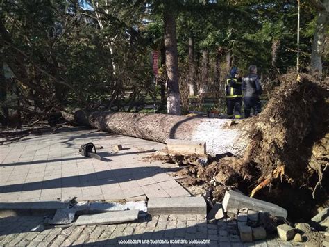 დაზიანებული სახლები ავტომობილები და მოგლეჯილი ხეები ძლიერი ქარი დას საქართველოში Netgazeti