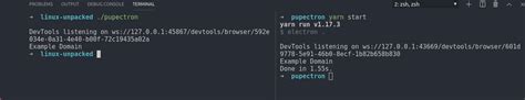 Javascript How To Use Puppeteer Core With Electron Stack Overflow