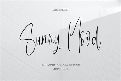 Script Font Signature Font Modern Font Cursive Font Etsy