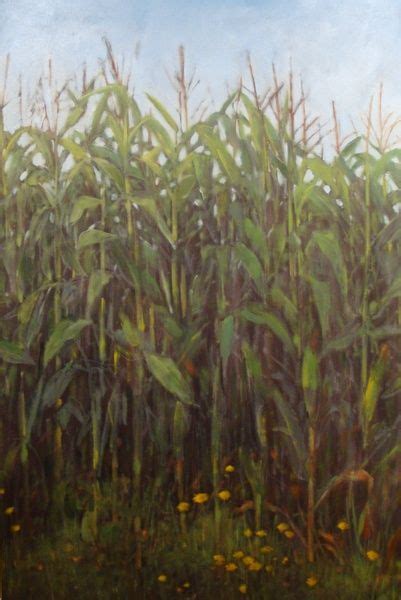 Daisy Craddock Field Of Corn