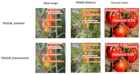 a lightweight yolov8 tomato detection algorithm combining feature