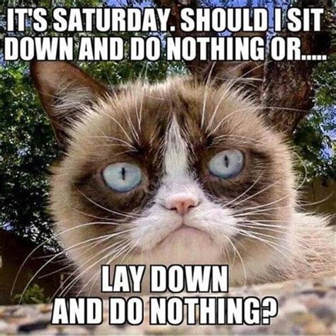 100 Saturday Memes To Make Brighten Your Day Hilarious Funny Dreams