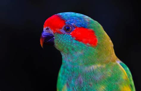 Welcome To Envirokey Envirokey