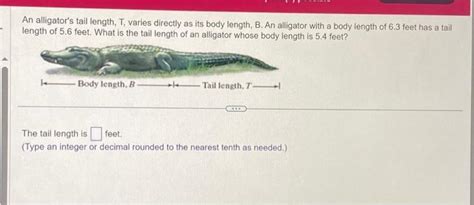 Solved An Alligators Tail Length T Varies Directly As Its