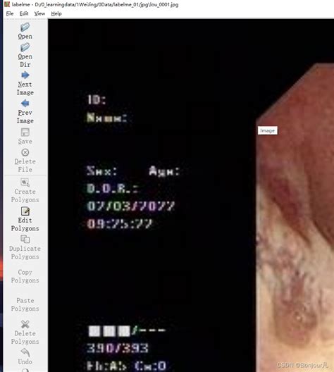 labelme标注数据 labelme自动标注 csdn博客