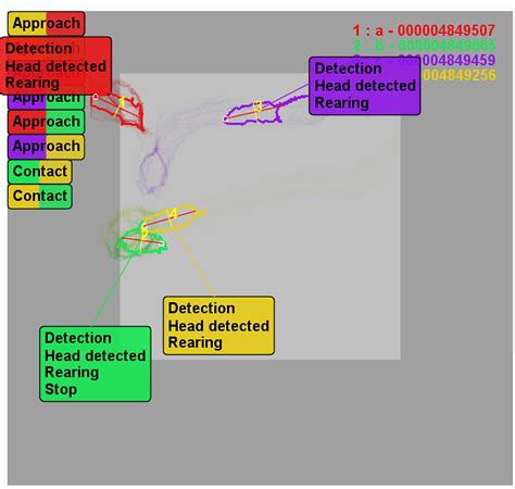 Damien Huzard Phd The Live Mouse Tracker