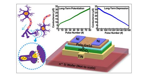 Junctionless Poly Gesn Ferroelectric Thin Film Transistors With