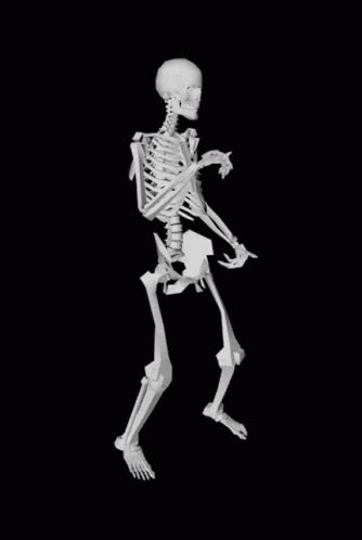 Skeleton Dancing Skeleton  Skeleton Dancing Skeleton Funny ค้นพบ