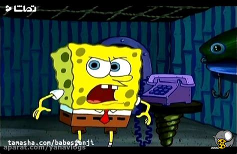 انیمیشن جذاب باب اسفنجی و پاتریک ستاره کارتون فیلو