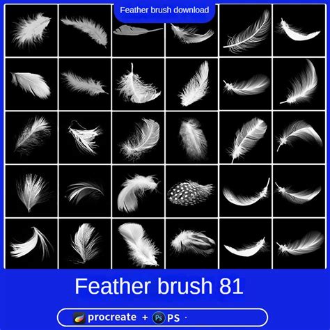 Free Download 20 Procreate Beauty Brushes Procreate Brushes