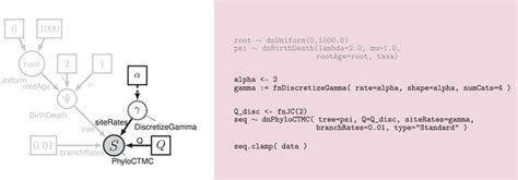 A Discrete Trait Model Depicted In Graphical Model Notation Left And