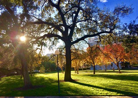 Uc Davis Campus Pictures