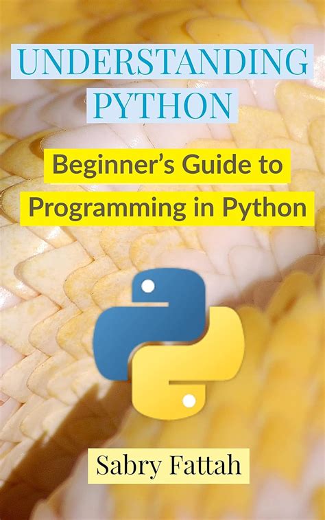 understanding python beginner s guide to programming ebook fattah