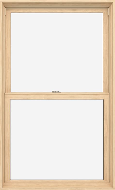 Elevate Double Hung Window Marvin