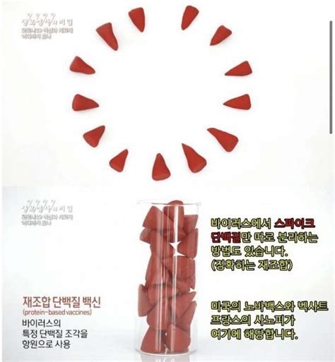 블라인드 코로나 바이러스 짤 백신