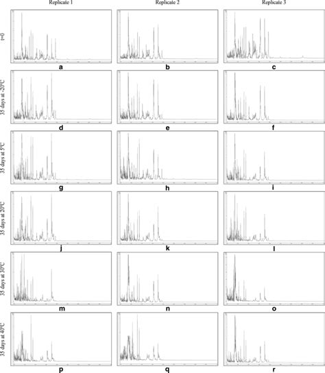 Maldi Tof Ms Spectra From Triplicate Sample Preparations Of Impatiens