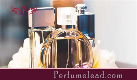 A Beginners Guide To Perfume Types