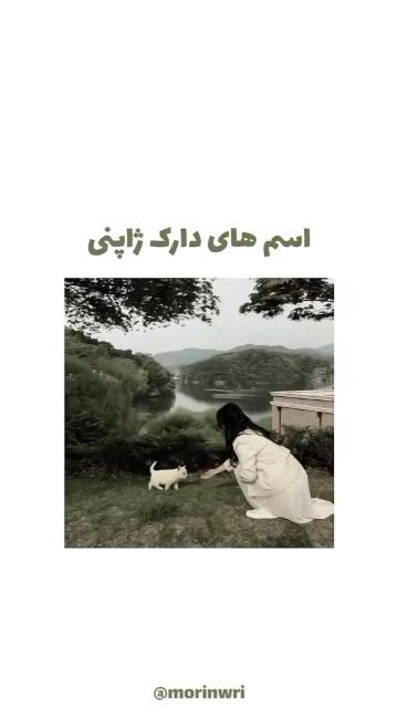 اسم دارک ژاپنی فیلم ویسگون