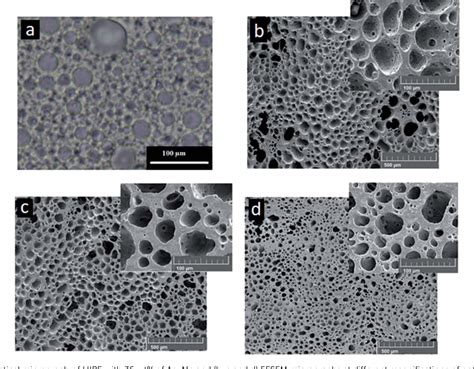 Figure 1 From Polydimethylsiloxane Nanocomposite Macroporous Films