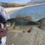 Ohios Rocky River Fishing Access Spots And Map