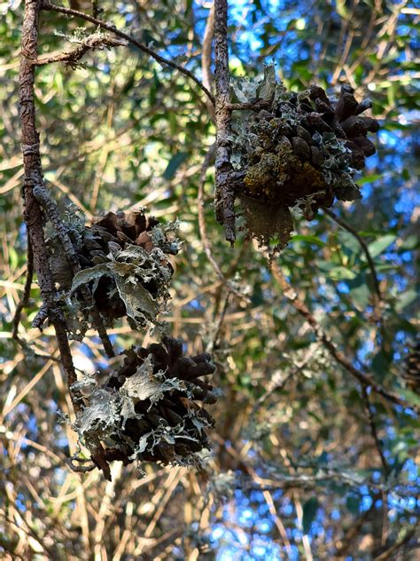 Mohammed Benslimane Photography