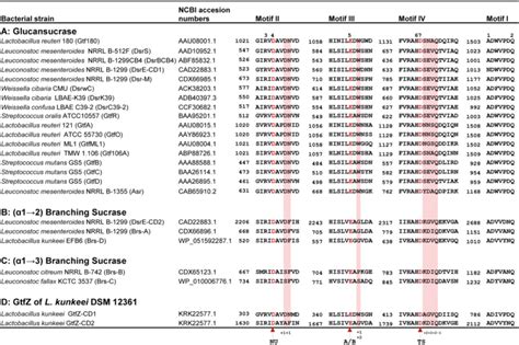 Sequence Alignment Of Conserved Motifs Ii Iii Iv And I In The Download Scientific Diagram