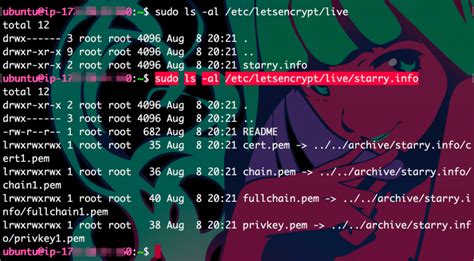 nginx 서버에 사용을 위한 ssl 인증서 발급받기 let s encrypt 스위프트코딩