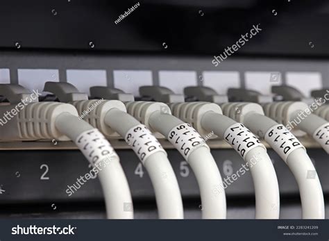Ethernet Cable Rj Connector Connected Socket Stock Photo Shutterstock