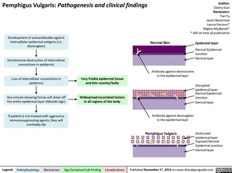 Pemphigus Vulgaris Calgary Guidecalgary Guide