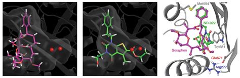 Discovery Of A Novel Potent Acc Inhibitor Driven By Computationally
