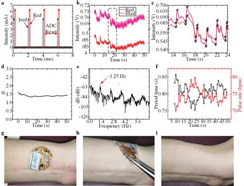 Ppg Signal Analysis And Compatible Demonstration Of The Fhe A Time Download Scientific