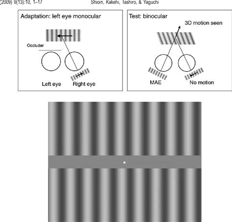 Figure 1 From Integration Of Monocular Motion Signals And The Analysis
