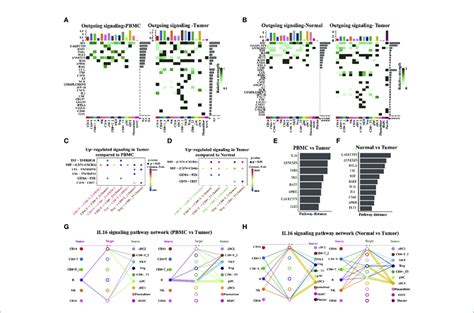 Identify Signal Patterns In Major Cell Types A B Outgoing Download Scientific Diagram