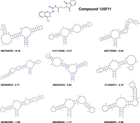Biosensor Loops Share A Bulged Stem Motif Secondary Structures Download Scientific Diagram