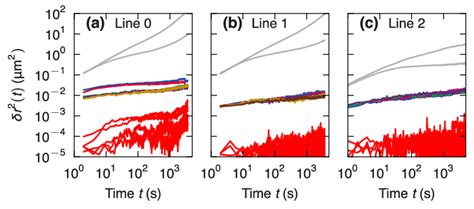 Experiment Mean Squared Displacement δr 2 T For The Matrix Particles